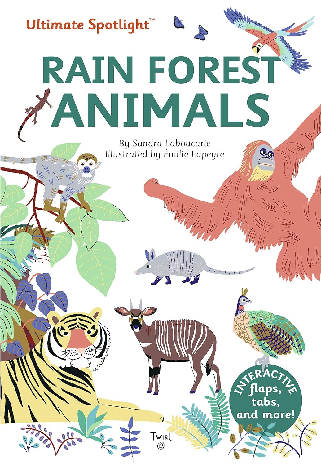 Rain Forest Animals – Freedom Floral