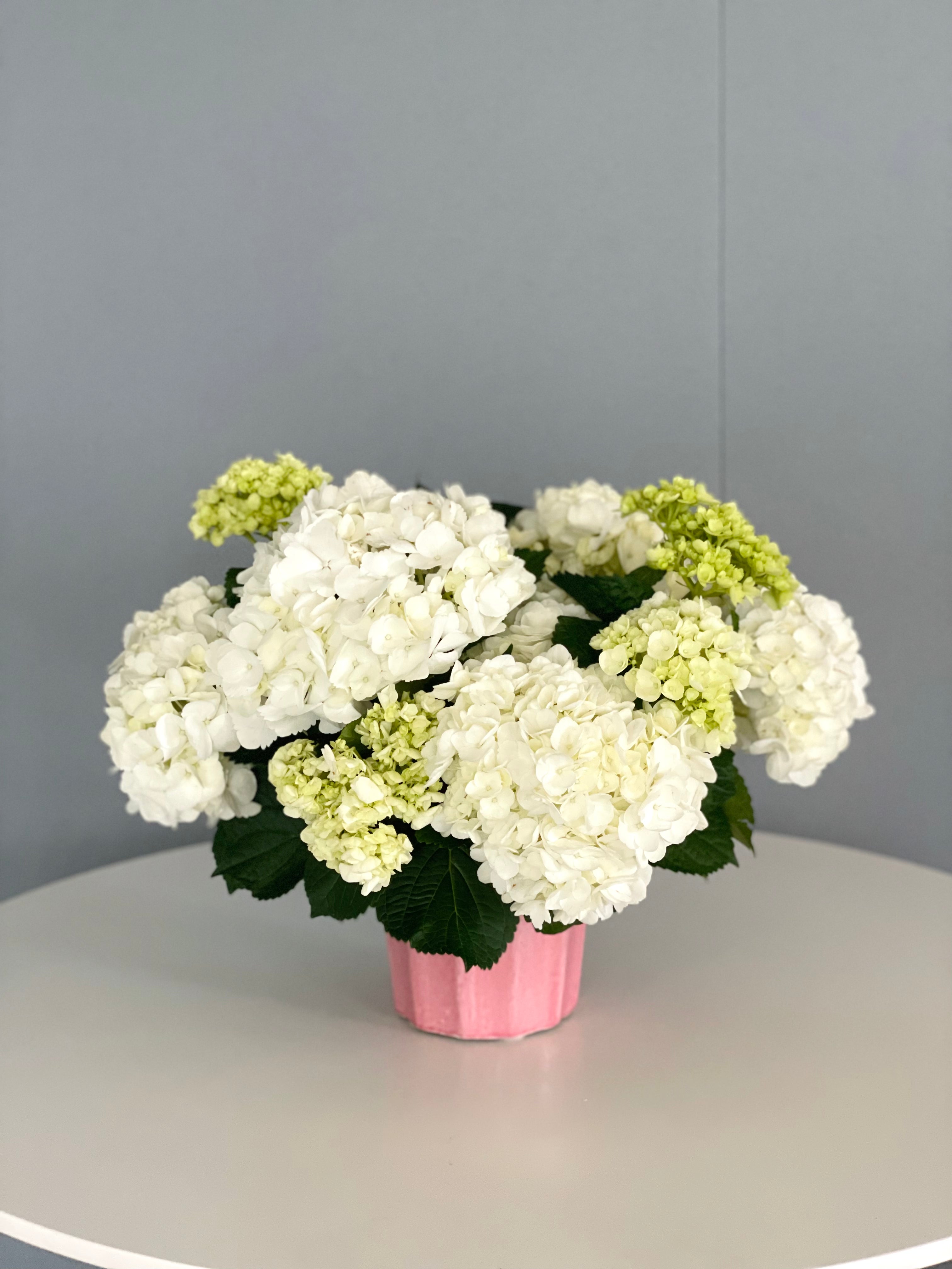 Bloom Hydrangea Centerpiece – Freedom Floral
