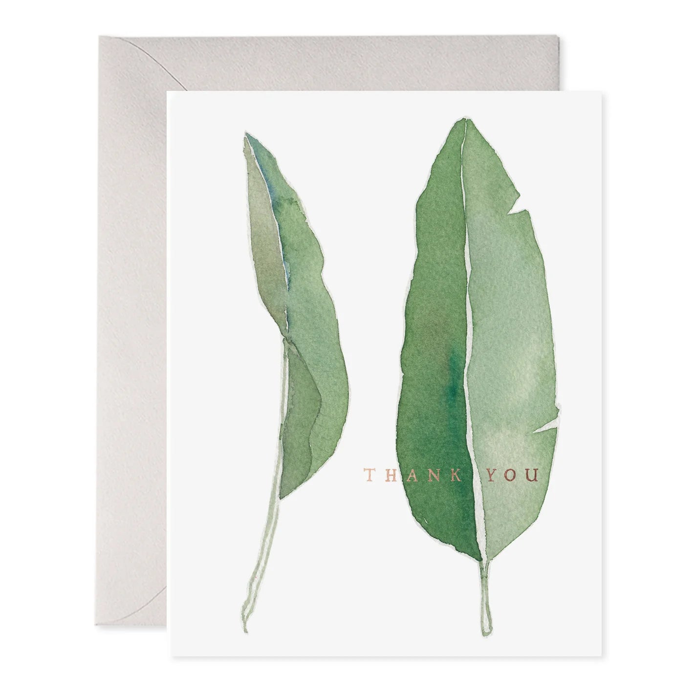 Thank You Leaves – Freedom Floral